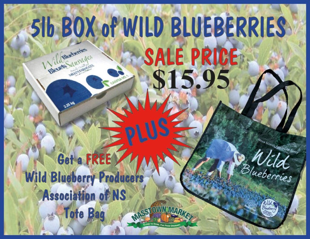 Wild Blueberry Promotion - March 2021 - Masstown Market blueberries